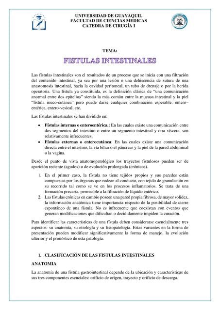 Fistulas Intestinales | María Angélica Ferrín Rendón | uDocz