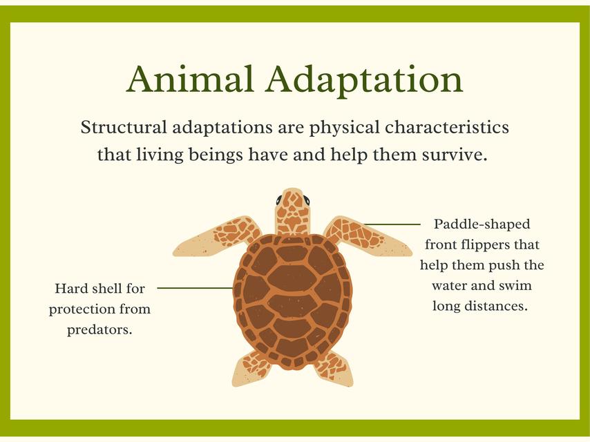 Animal Adaptation | Anonymous | uDocz