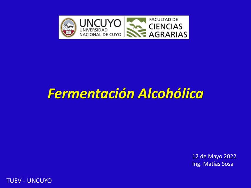 Fermentación Alcohólica | Ely Beier | uDocz