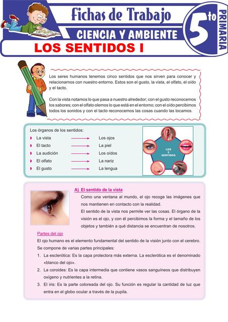 Los Sentidos | Neil Diaz | uDocz