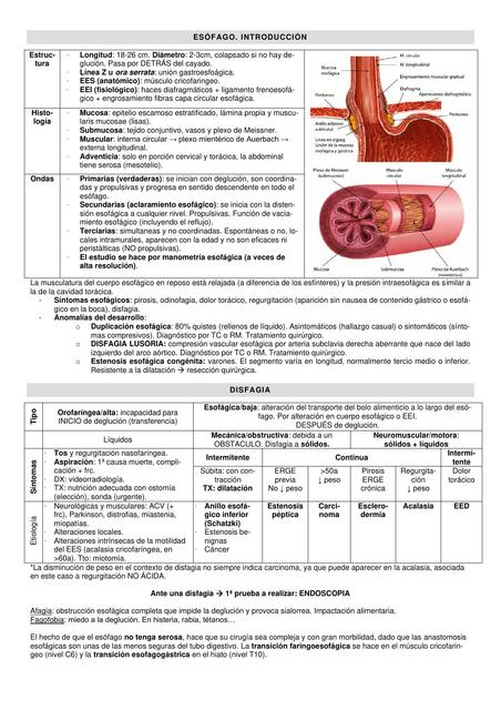 Esófago | Michelle Nayarit Capellan | uDocz