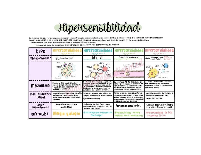 Hipersensibilidad | Eduardo Rodriguez | uDocz Hipersensibilidad | Eduardo Rodriguez | uDocz