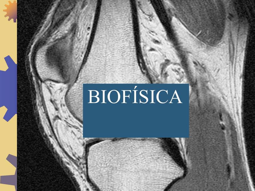 Biofísica | konny linder | uDocz