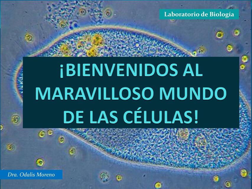 Bienvenidos al Mundo de Las C茅lulas | Dra Odalis Moreno | uDocz Bienvenidos al Mundo de Las C茅lulas | Dra Odalis Moreno | uDocz