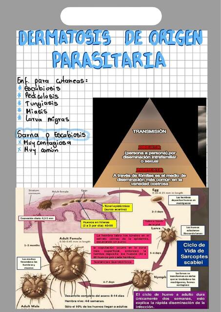 Dermatosis de Origen Parasitarias | Valentina Lopez | uDocz
