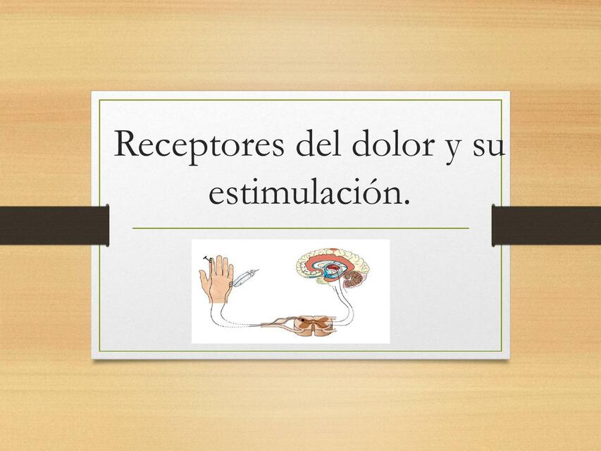 Resúmenes de Estimulación del dolor | Descarga apuntes de Estimulación ...