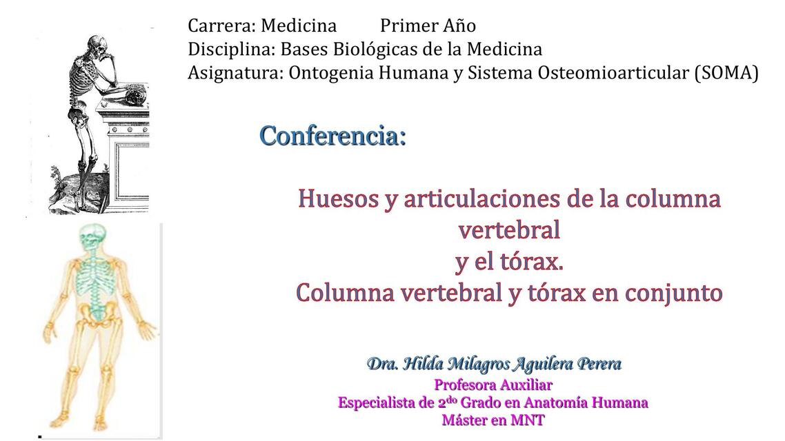 Huesos y articulaciones de la columna vertebral y el tórax | katty paola cordoba | uDocz