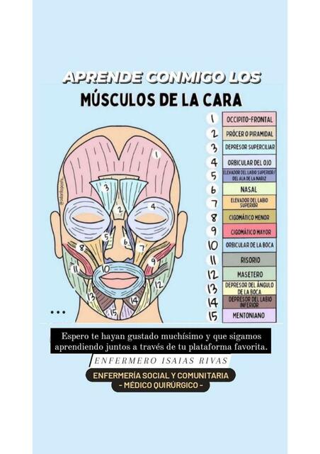 Músculos de la Cara | Enfermero Isaias Rivas | uDocz