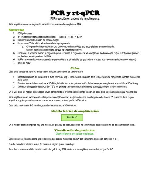 PCR y rt-qPCR | Mar | uDocz