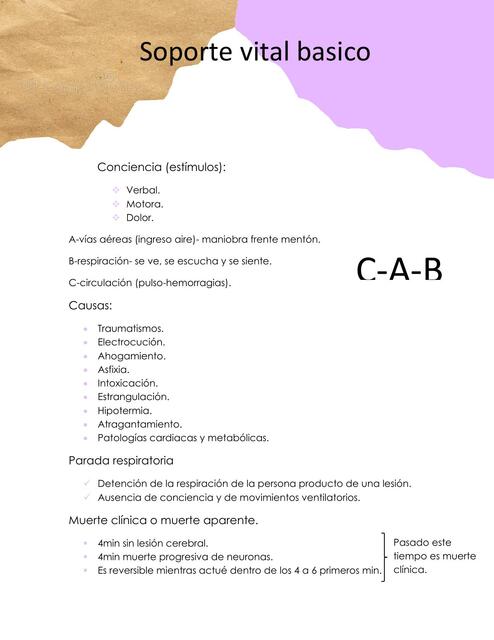 SDoporte vital básico | Mariana Barrios | uDocz