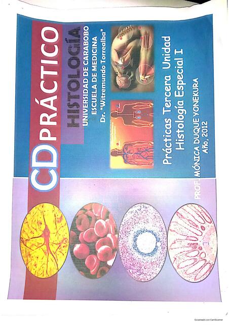 Guia de cortes histologicos: Histología Especial | Carmen Hernandez | uDocz