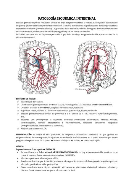 Resúmenes de Patología Isquémica | Descarga apuntes de Patología Isquémica