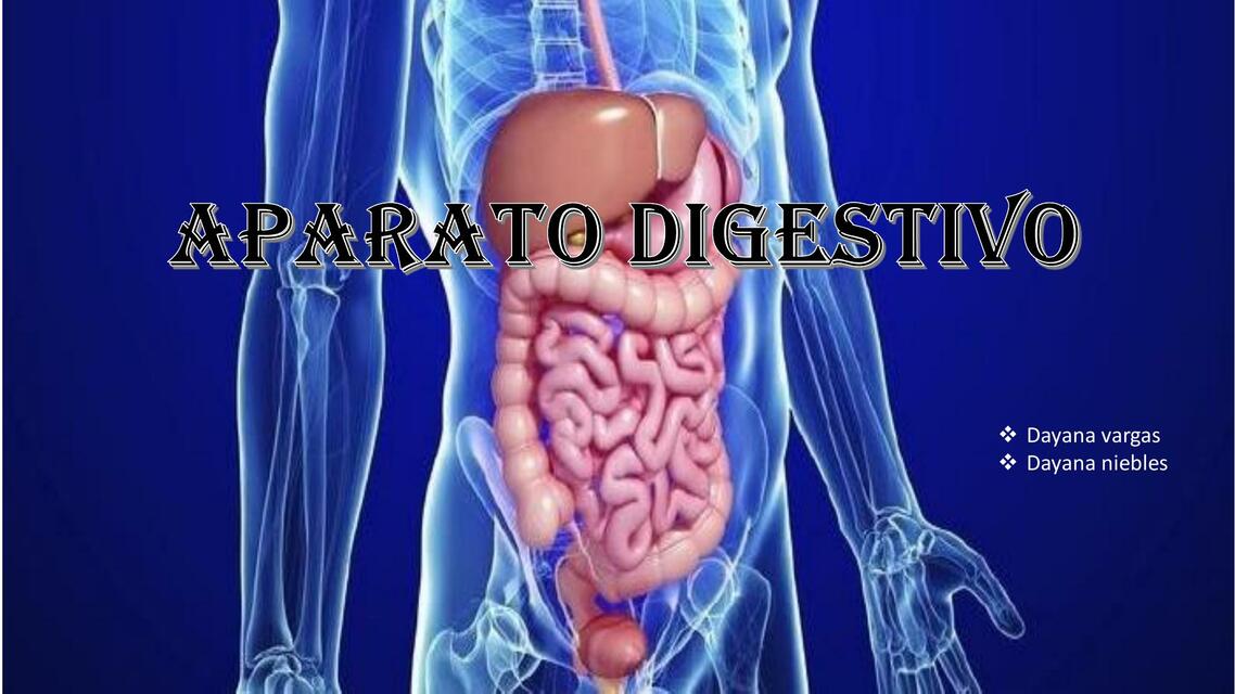 Aparato Digestivo 11 | Dayana Vargas | uDocz