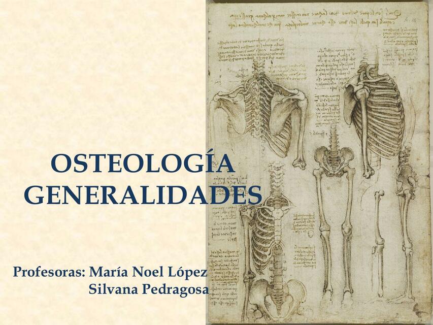 Osteología | selena gularte | uDocz