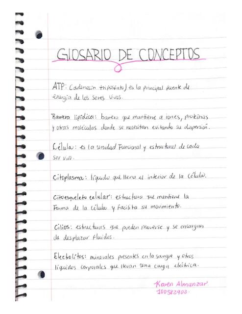 Glosario de Conceptos | Karen Almanzar | uDocz