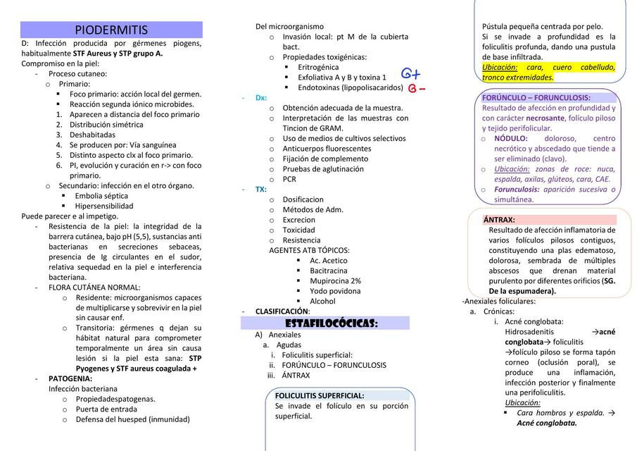 Piodermitis | May Torres | uDocz