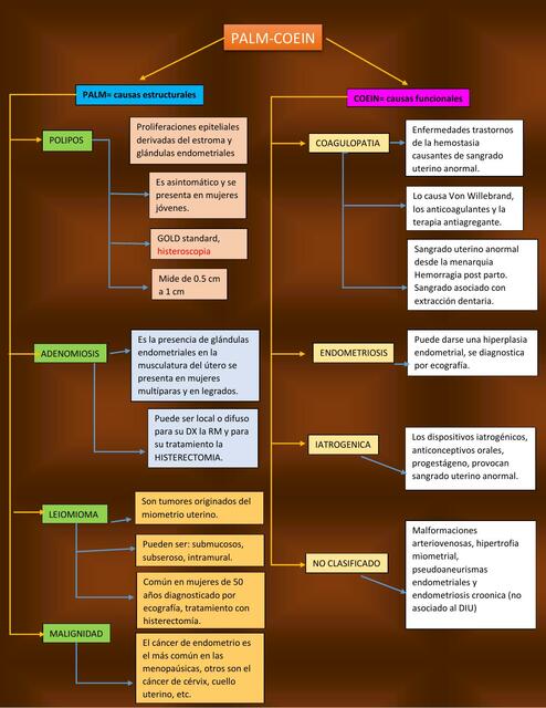 PALM-COEIN | Ivan CL | uDocz