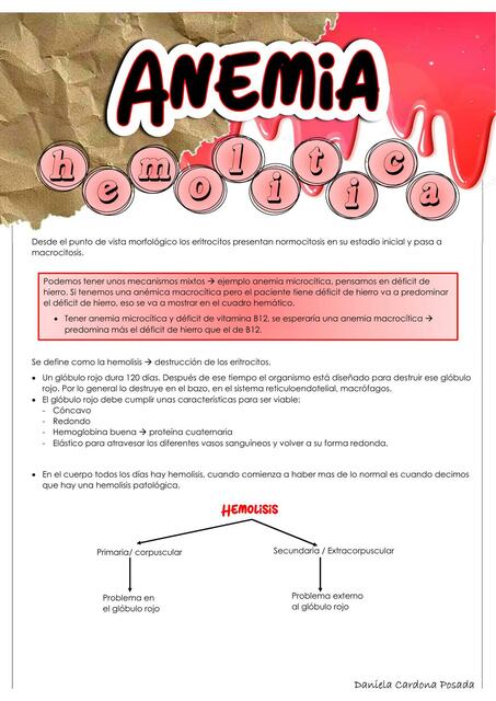 Resumen 100 Anemias hemolíticas Harrison Principios de medicina interna ...