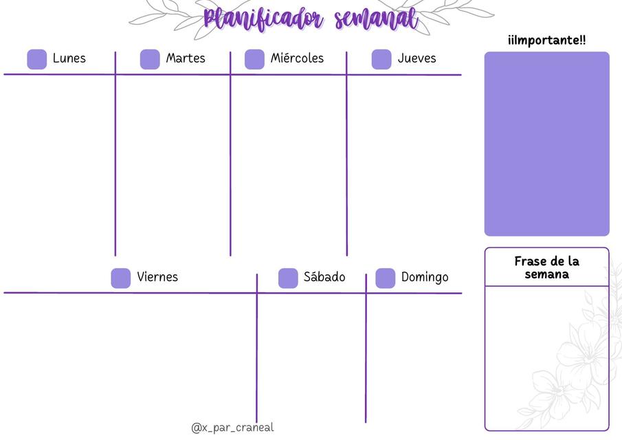 Planner Semanal - Morado | Décimo Par Craneal | uDocz