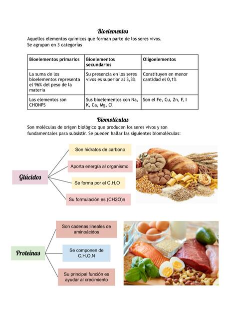 Bioelementos- Biomoléculas, Metabolismo y Ciclo de Krebs | Liza Stuudio ...