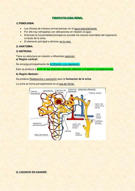 Fisiopatolog Renal | Jhoel Ronald | uDocz