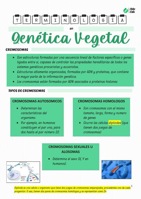 TERMINOLOGIA EN GENETICA VEGETAL | Notes Kalu | uDocz TERMINOLOGIA EN GENETICA VEGETAL | Notes Kalu | uDocz