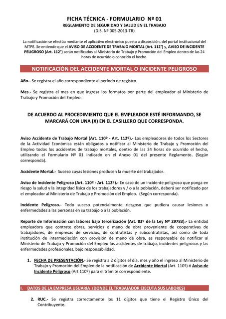 Reglamento de Seguridad y Salud en el Trabajo | Gon Za Li To | uDocz