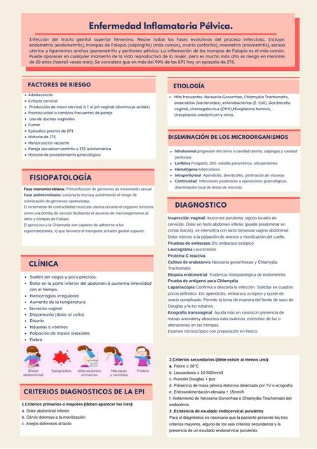 Resúmenes de Estadíos Monif | Descarga apuntes de Estadíos Monif