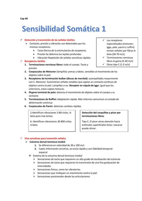 Sensibilidad Somática 1 | Jamy | uDocz