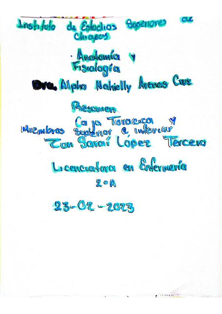 Resumen Anatomía | Zuri López Tercero | uDocz