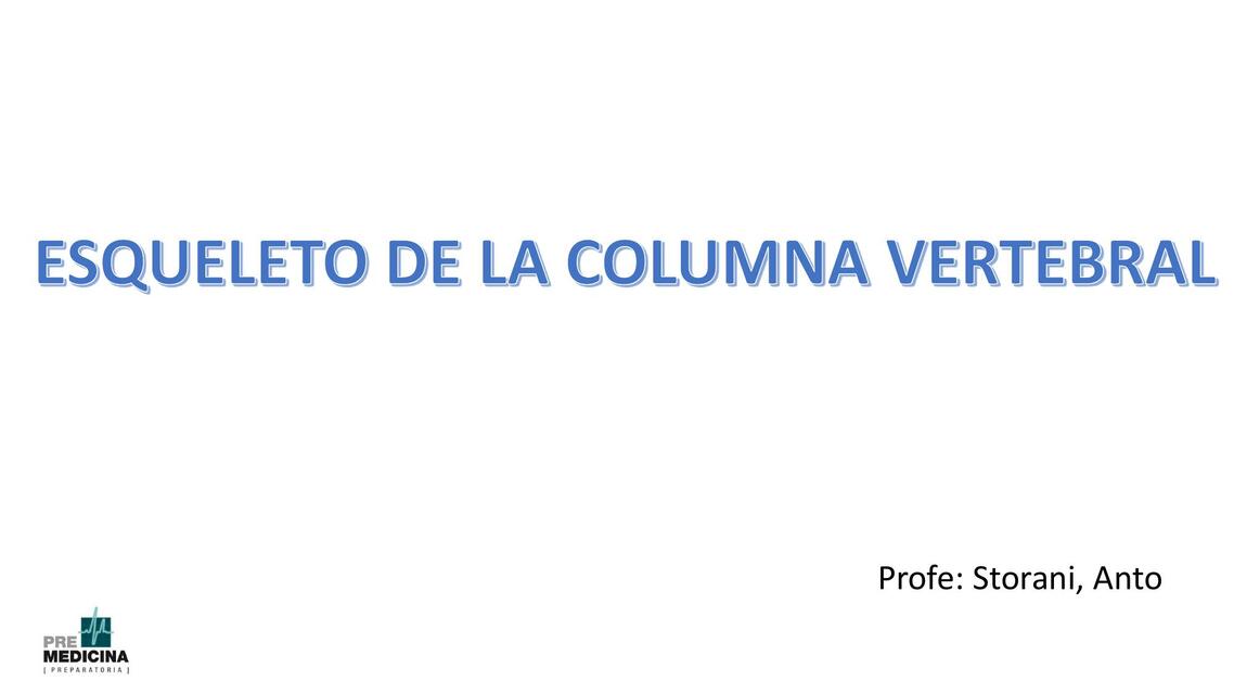 Flashcards de Esqueleto de la Columna Vertebral | Por Norali | uDocz