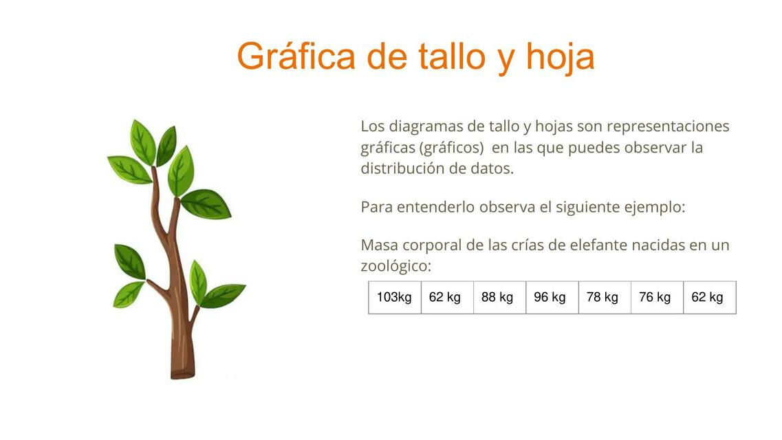 Hoja De Trabajo De Diagramas De Tallo Y Hojas