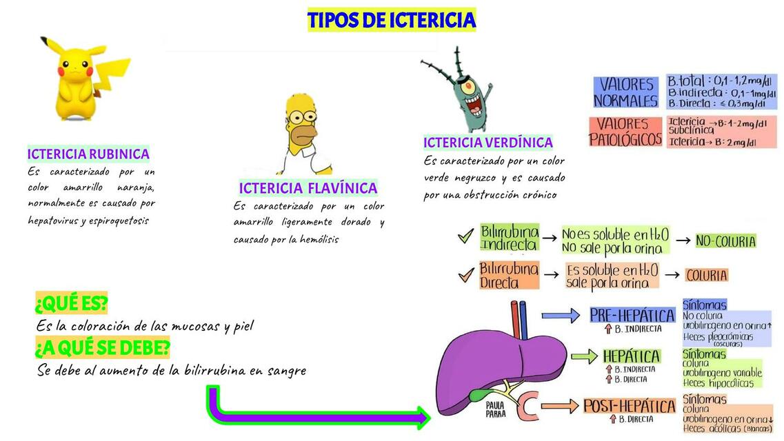 Tipos de ictericia | Luz Chinchay cancho | uDocz
