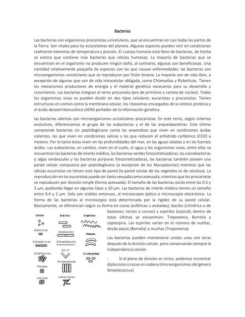 Generalidades de las bacterias, monografía | Gladys De la cruz Biology | uDocz