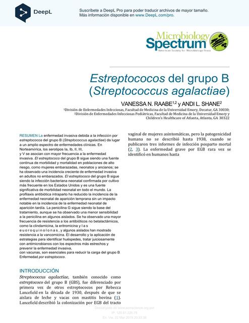 Estreptococos del grupo B | Miluska Stefany | uDocz