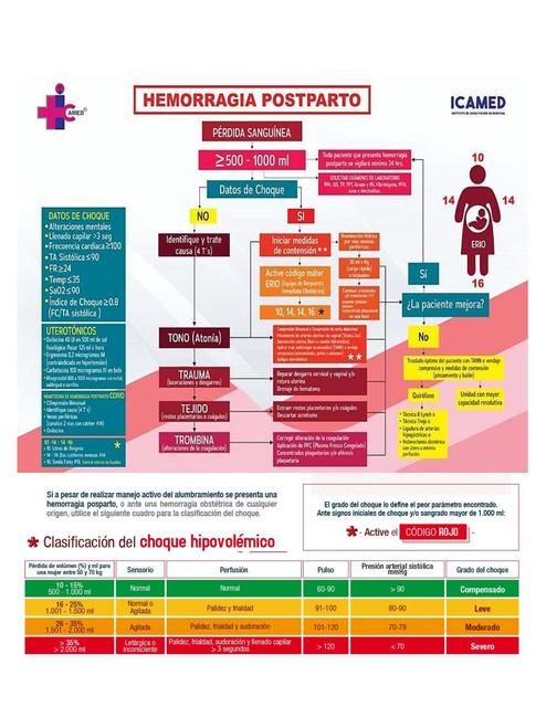 Hemorragia Postparto | thesen smith | uDocz
