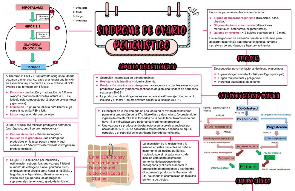 Síndrome de ovario poliquístico | Sharitzada | uDocz