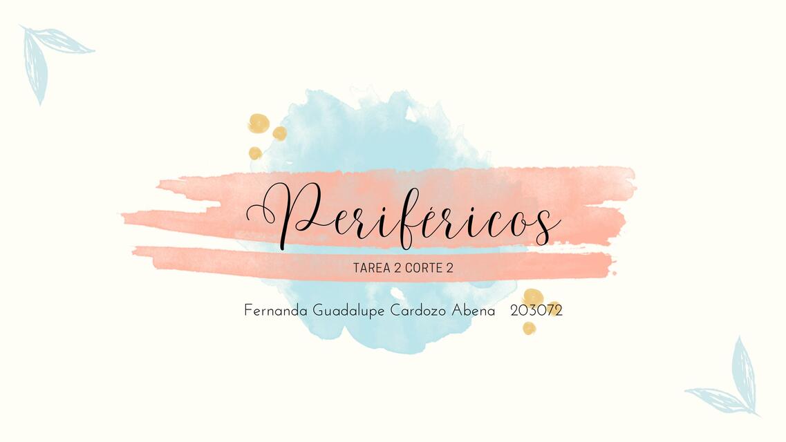 T2C2 Periféricos 1 | Ferstudiess | uDocz