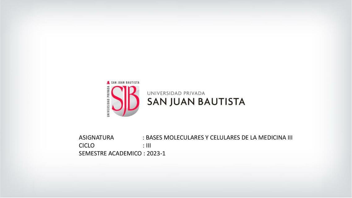 Práctica N 2 Espectrofotometría | Gianella Racchumi | uDocz