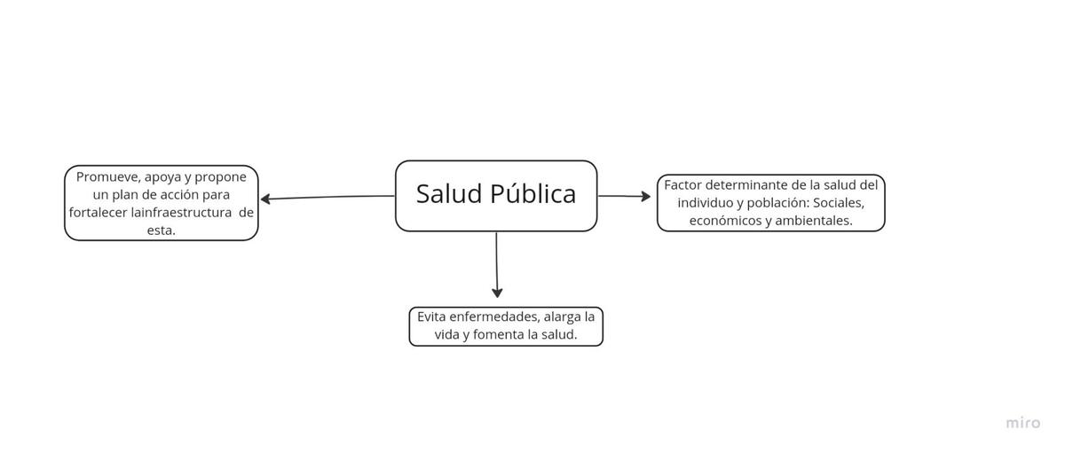 Mapa Conceptual Salud Pública | Sofía Cortez Vergara | uDocz