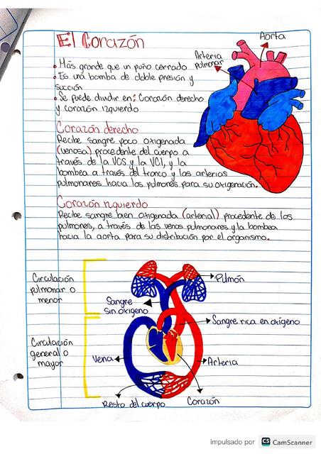 El Corazón | Isabel Ramos | uDocz