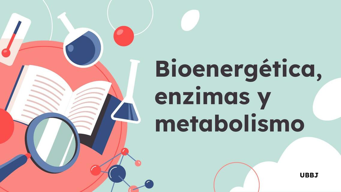 Bioenergética, Enzimas y Metabolismo | Natalia Estefanía Azcorra Cano ...
