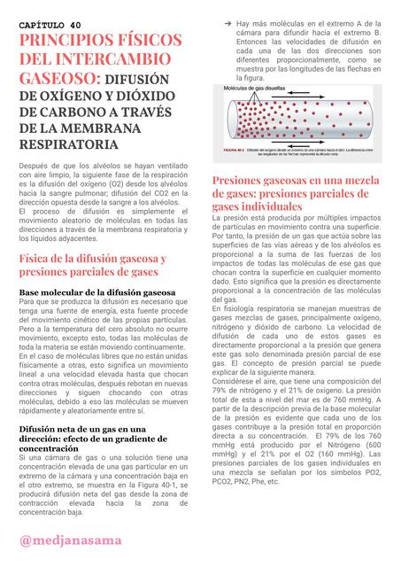 Fisiología Guyton Capítulo 40 | Med Jana sama | uDocz