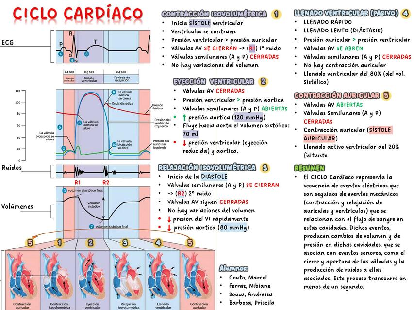 Ciclo Cardiaco | Marcel Felipe | uDocz