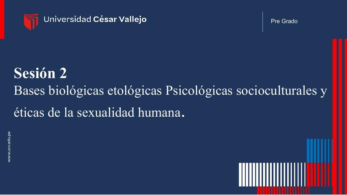 Bases Biológicas Etológicas Psicológicas Socioculturales Y Éticas De La