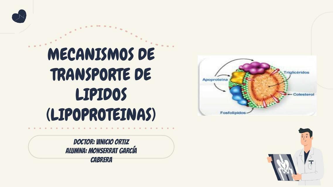 Mecanismos de Transporte de Lípidos | Monserrat Garcia | uDocz