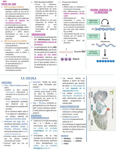 Temas de Biología | Nkarahm | uDocz