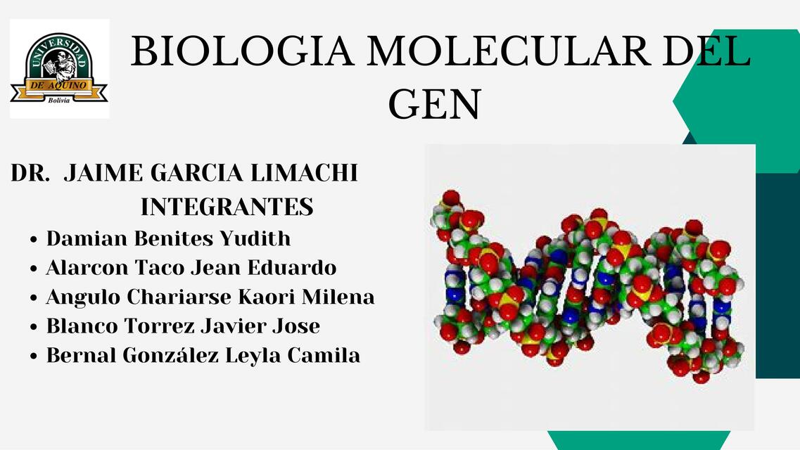 Biología Molecular del Gen | Kaori Angulo | uDocz