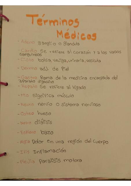 Términos Médicos | Anabel Becerra | uDocz