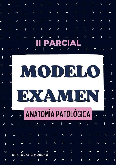 Anatomia Udocz